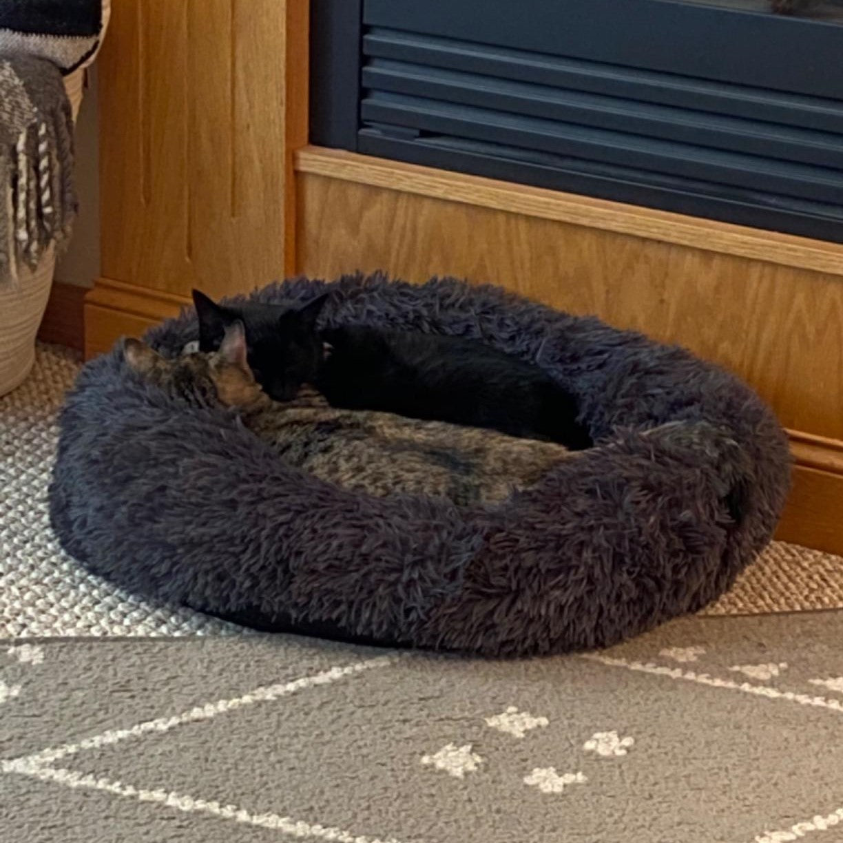 Cat Cloud Bed – CuddlesMeow