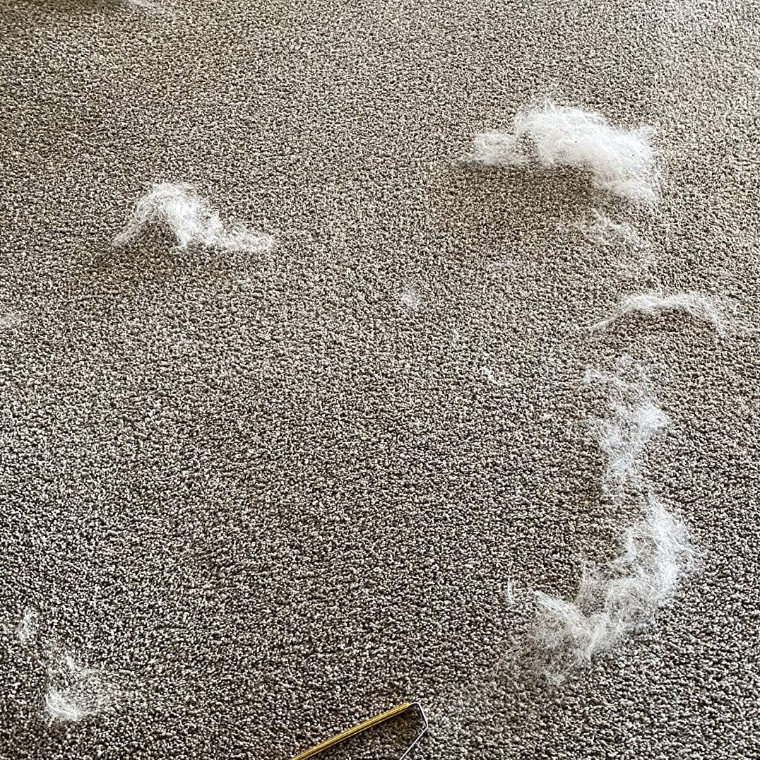 Cat Hair Razor – CuddlesMeow