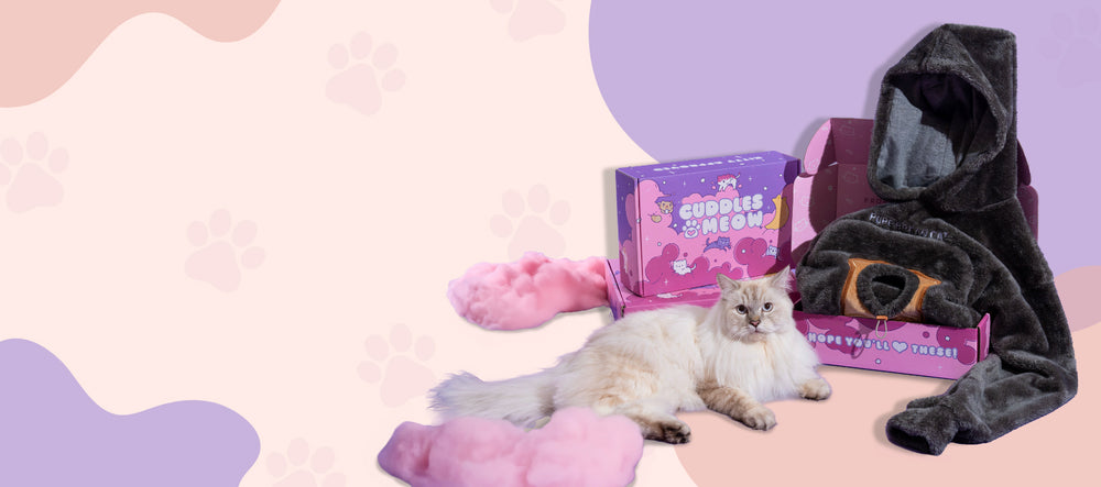 Best Things For Your Kitty