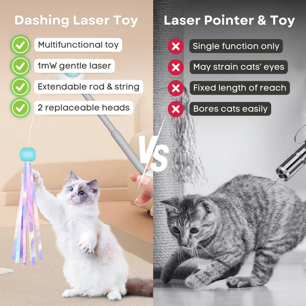 Dashing Laser Toy