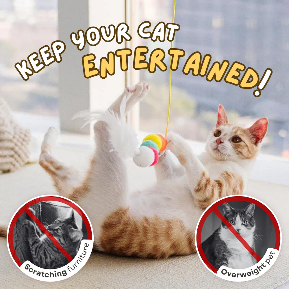 Dangling Cat Toy Set (6 PCS)