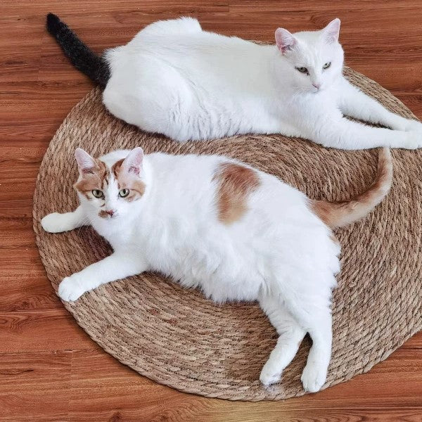 Cattail Scratcher Mat – CuddlesMeow