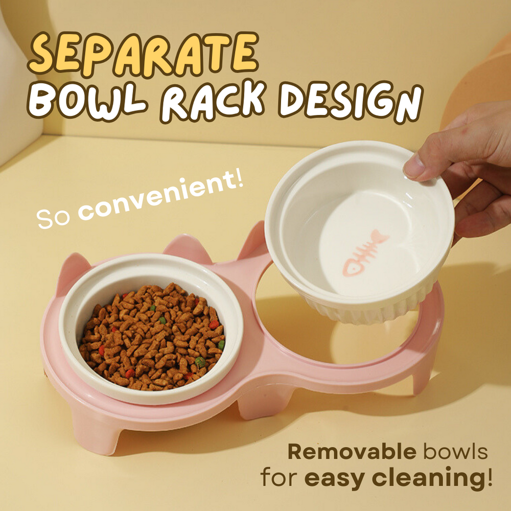 Elevated Ceramic Cat Bowl