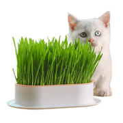 Easy Grass Grower