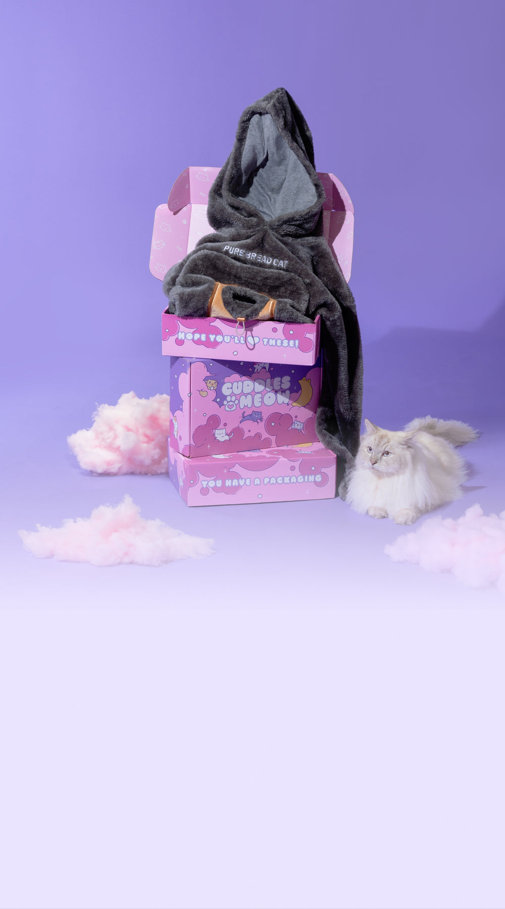 Best Things For Your Kitty